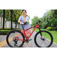China Hot Bicycle Mountain Bike Mtb for Adults 27.5*15
