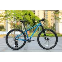China High Configuration 30 Speed 29 Inch Carbon Fiber Mountain Bike with SMN M6000-30Speed for sale