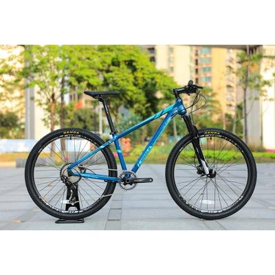 China High Configuration 30 Speed 29 Inch Carbon Fiber Mountain Bike with SMN M6000-30Speed for sale