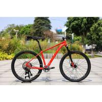 China 150KG Load Capacity 29 Inch Carbon Fiber Mountain Bike with 30 Speed Gears and Design for sale
