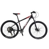China Custom Carbon Fiber Frame Mountain Bike Bicycle with Ltwoo A12 12s Gear 26/27.5/29 inch for sale