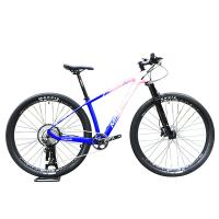 China Carbon Fiber Construction Mountain Bike for Adults 29 Inch Aluminum Alloy Fork for sale