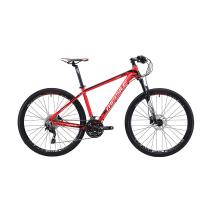 China 27.5