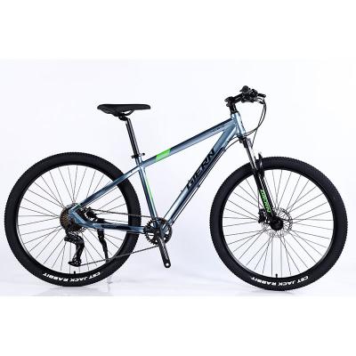 China Experience the Ultimate Ride with 160mm Brake Disc Pads Sports Mountain Bike for sale