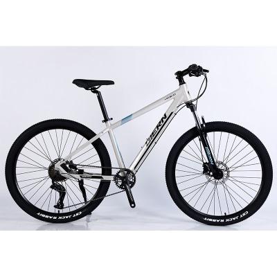 China 201KG Electric Foldable Bike Central Motor Maximum Speed 25 Kmh Foldable Lightweight Bicycle Suitable for City Commuting for sale