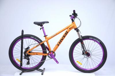China 52V Voltage Electric Foldable Bike Maximum Speed 25 Kmh 30 Degree Gradeability Compact Lightweight Frame Ideal For Urban Commuting for sale