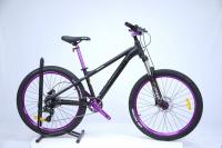 China 30-Speed Derailleur Lever Mountain Bike with Ordinary Pedal for sale
