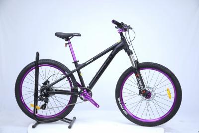 China 30-Speed Derailleur Lever Mountain Bike with Ordinary Pedal for sale