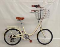 China 20 Inches Front Big Basket For Pet Carriage Lady City Bike Fashion Design for sale
