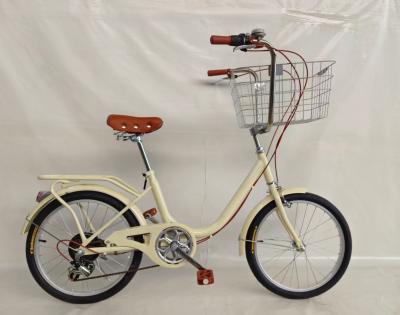 China 20 Inches Front Big Basket For Pet Carriage Lady City Bike Fashion Design for sale