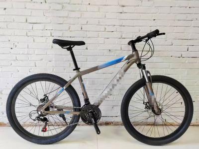 China Steel Frame Racing Road Bike Incorporating ZOOM Hydraulic Brake Crafted for Road Racing and Competitive Performance for sale