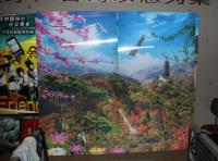 China Wholesale products pvc custom made poster lenticular 3d pictures of animals 3D flip lenticular decoration picture for sale