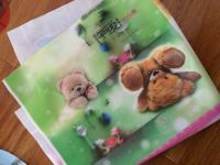 China PLASTIC LENTICULAR soft lenticular printing picture flexible 3d flip zoom morph motion animation lenticular printing for sale