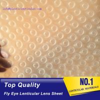 China PLASTIC LENTICULAR flyeye lenticular sheet fly eye 3d pp lens array for packaging box decoration for sale