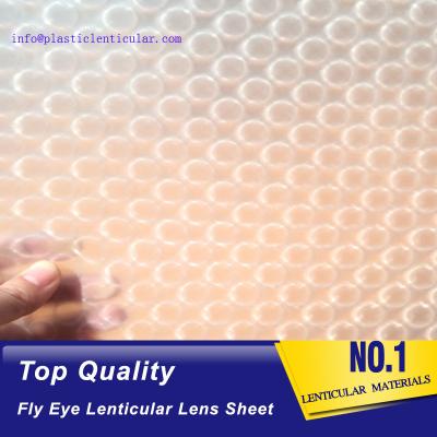 China PLASTIC LENTICULAR 360 3d effect pp lenticular sheet for 3d lenticular printing dot lens microlens for sale