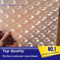 China PLASTIC LENTICULAR flyeye lenticular sheet fly eye 3d pp lens array for packaging box decoration for sale