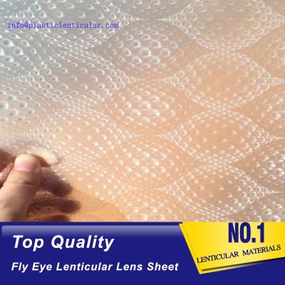 China PLASTIC LENTICULAR fly eye lens array pp 3d led light guide film lenticular honeycomb array for sale