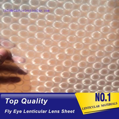 China PLASTIC LENTICULAR pp lenticular 3d fly eye sheets imported from Korea for sale