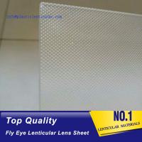 China PLASTIC LENTICULAR lenticular fly eye sheets micro lens arrays-360 degrees 3d animation effect- fly eye dome lens sheets for sale