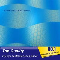China PLASTIC LENTICULAR high quality one sided dots 360 3d fly eye lens sheet dot lenticular sheet for sale