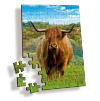 China PLASTIC LENTICULAR cheap kids toy plastic 3d puzzle pp pet customized 3d lenticular jigsaw printing lenticular puzzle for sale