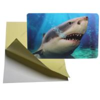 China PLASTIC LENTICULAR Wholesales Halloween OEM Competitive Price 3d flip card stickers for sale