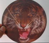 China PLASTIC LENTICULAR 2 images 3 images flip effect lenticular printing from left to right or from up to down for sale