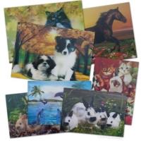 China PLASTIC LENTICULAR PET 3D Lenticular Plastic Printing moving cards by 3d offset printer for sale