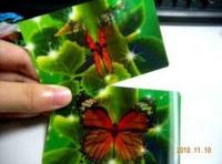 China PLASTIC LENTICULAR 3D lenticular flip printing business offset printing card for sale