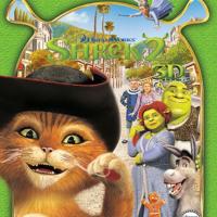 China PLASTIC LENTICULAR OEM plastic pet pp lenticular card 3D and motion moving posters for promotion for sale