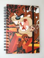 China PLASTIC LENTICULAR Customized Notepad Printing Type Plastic PET Paperback Diary Notebook with 3D Lenticular Cover for sale