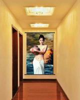 China PLASTIC LENTICULAR 3d Depth effect lenticular wall hanging picture With Custom Design For Painting And Printing for sale