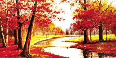 China PLASTIC LENTICULAR hot sales 3d 5d Lenticular Pictures 3d PET printing Package for sale
