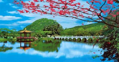 China PLASTIC LENTICULAR beautiful flower 3d picture pet lenticular lens home decor wall picture 3d prints for sale