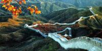 China PLASTIC LENTICULAR 3d lenticular flip picture 3d moving pictures for sale