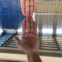 China Mirror Bright Stainless Steel Sheet 3mm Aisi Astm 304 Hairline 16 Gauge for sale