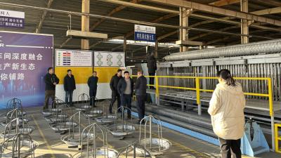China Multi Functional Auto Gabion Mesh Machine Quick Setup SLW54 for sale