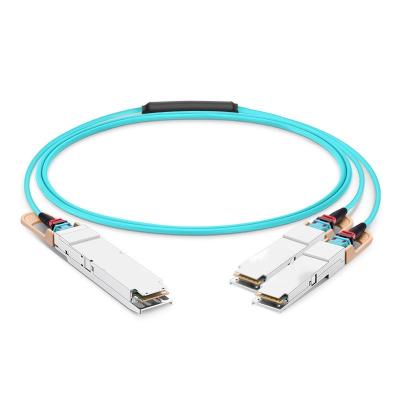 China HZAD400D2A10 400Gbps Optical Cable With Hot Pluggable QSFP-DD SR8 To 2xQSFP56 SR4 AOC for sale