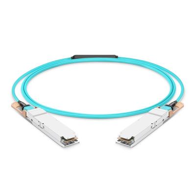 China 800Gbps QSFP-DD800 Active Optical Cables For High Speed Data Center Networking for sale