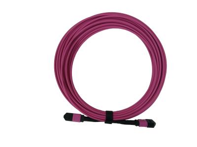 China OM4 50/125um MTP-24 Fiber Patch Cable With 24 Fibers And 3.0mm Outer Diameter for sale