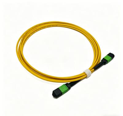 China 12F MPOPC(F)-MPOPC(F)-SM-3.0-3M Type B Multimode Fiber Optic Patch Cord With SCAPC Connectors , 3.0mm LSZH Jacket , 3 Meters for sale