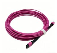 China Custom 12-Core 10M OM4 MPO(F)-MPO(F) Fiber Patch Cord With LSZH Jacket And Type B Polarity For 40G/100G Networks for sale