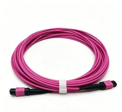 China Custom 12-Core 10M OM4 MPO(F)-MPO(F) Fiber Patch Cord With LSZH Jacket And Type B Polarity For 40G/100G Networks for sale