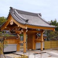 China Japanese Style Ceramic Roof Tile Sangawara Tile Traditional Tea House Roofing Wholesale for sale