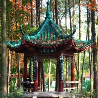China Wooden Frame Chinese-Style Pavilion with Green Glazed Tile Retro Wooden Texture Courtyard Landscape Gazebo for Balcony Natural Decor for sale