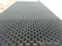 China 100mm HDPE Gravel Pebble Stabilizer Geocell For Driveway for sale