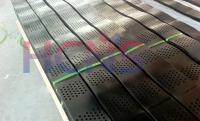 China High Intensity Thermoplastic Geocell Grid Driveway Mat Sheet for sale