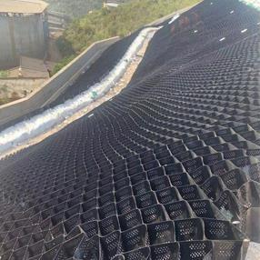 China Plastic Hdpe Green Gravel Stabiliser Grid Driveway Soil Reinforcement for sale