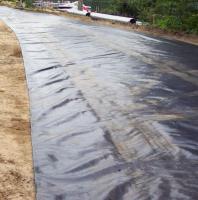 China Waterproof LLDPE PVC PE Hdpe Geomembrane Liner For Root Protection for sale