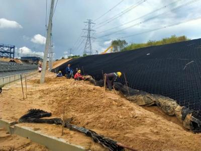 China 150mm Plastic Honeycomb HDPE 3D Geocell For Pond for sale